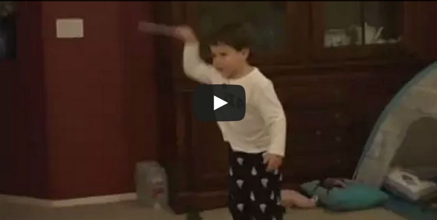 3 Year Old Child Conductor Takes On Beethoven's 5th
