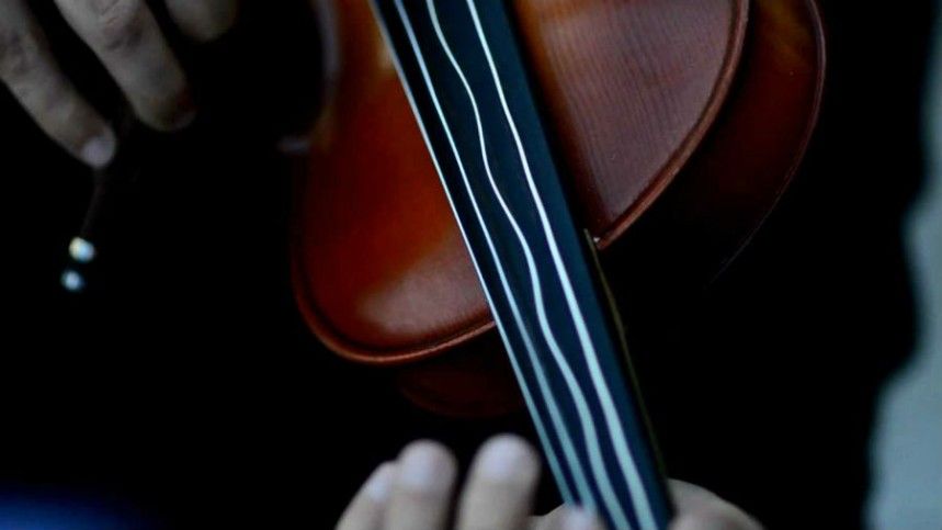 How Hard Is It to Learn Mandolin? (Beginners' Challenges and Useful ...