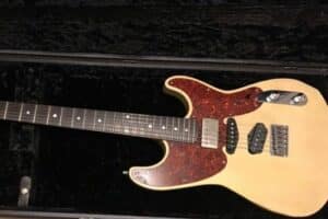 All About Robin Guitars - CMUSE