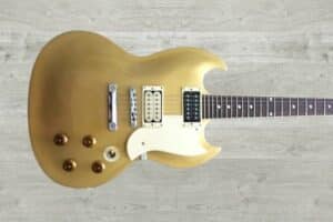 All About Robin Guitars - CMUSE