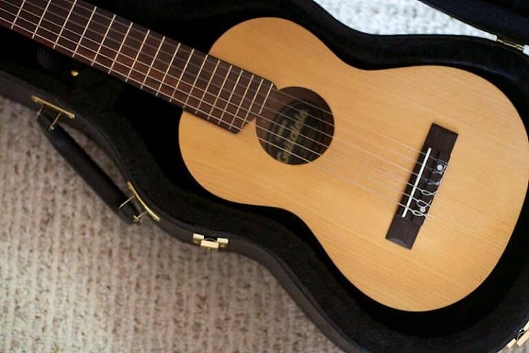 Round Back vs Flat Back Guitar: What's The Difference - CMUSE