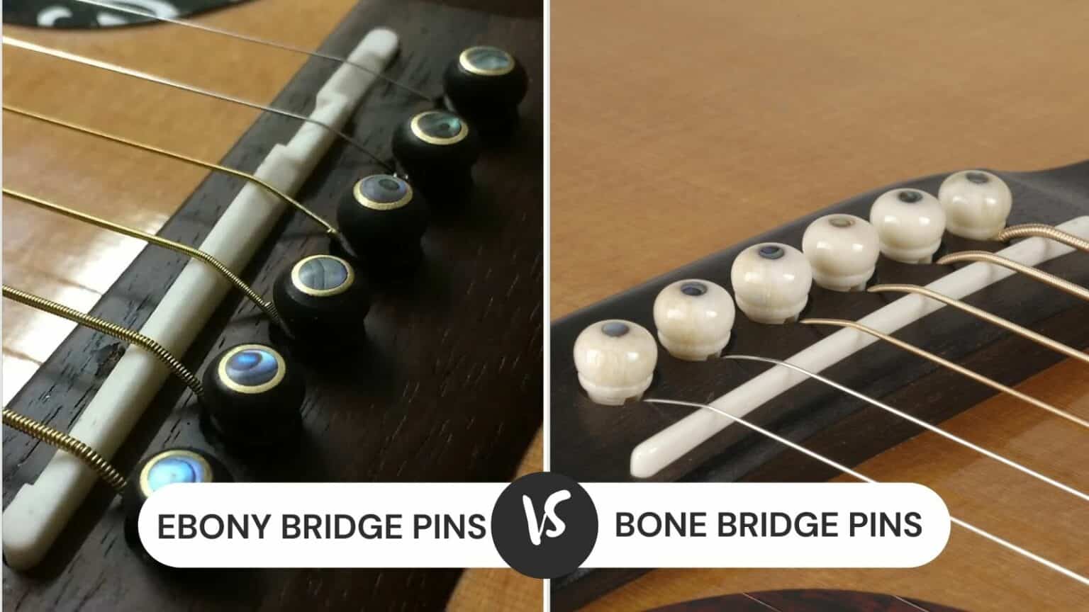 Ebony vs Bone Bridge Pins: What's The Difference - CMUSE