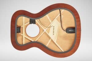 LR Baggs Element vs Matrix Infinity- Which One? - CMUSE