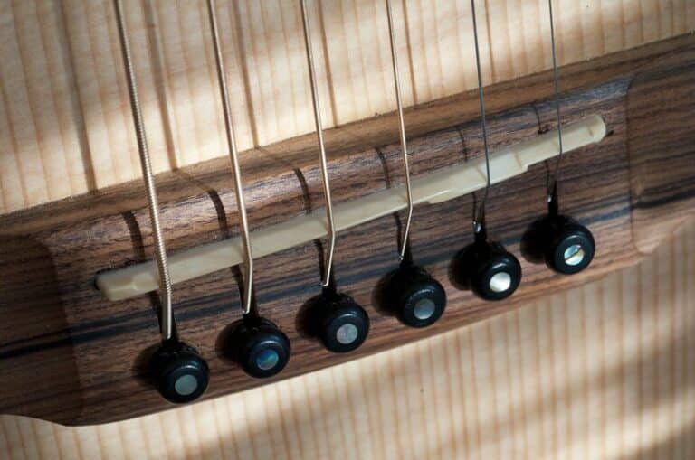 Tusq vs Bone Saddle: What's The Difference - CMUSE