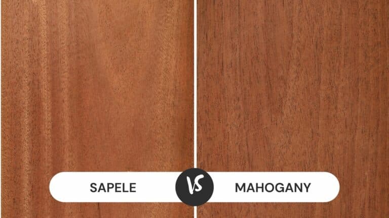 Sapele vs Mahogany Comparison: What's The Difference - CMUSE