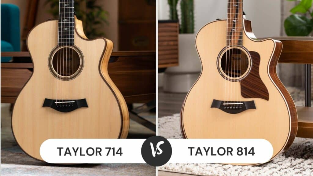 Taylor 714 vs 814: Which Model Should You Choose? - CMUSE