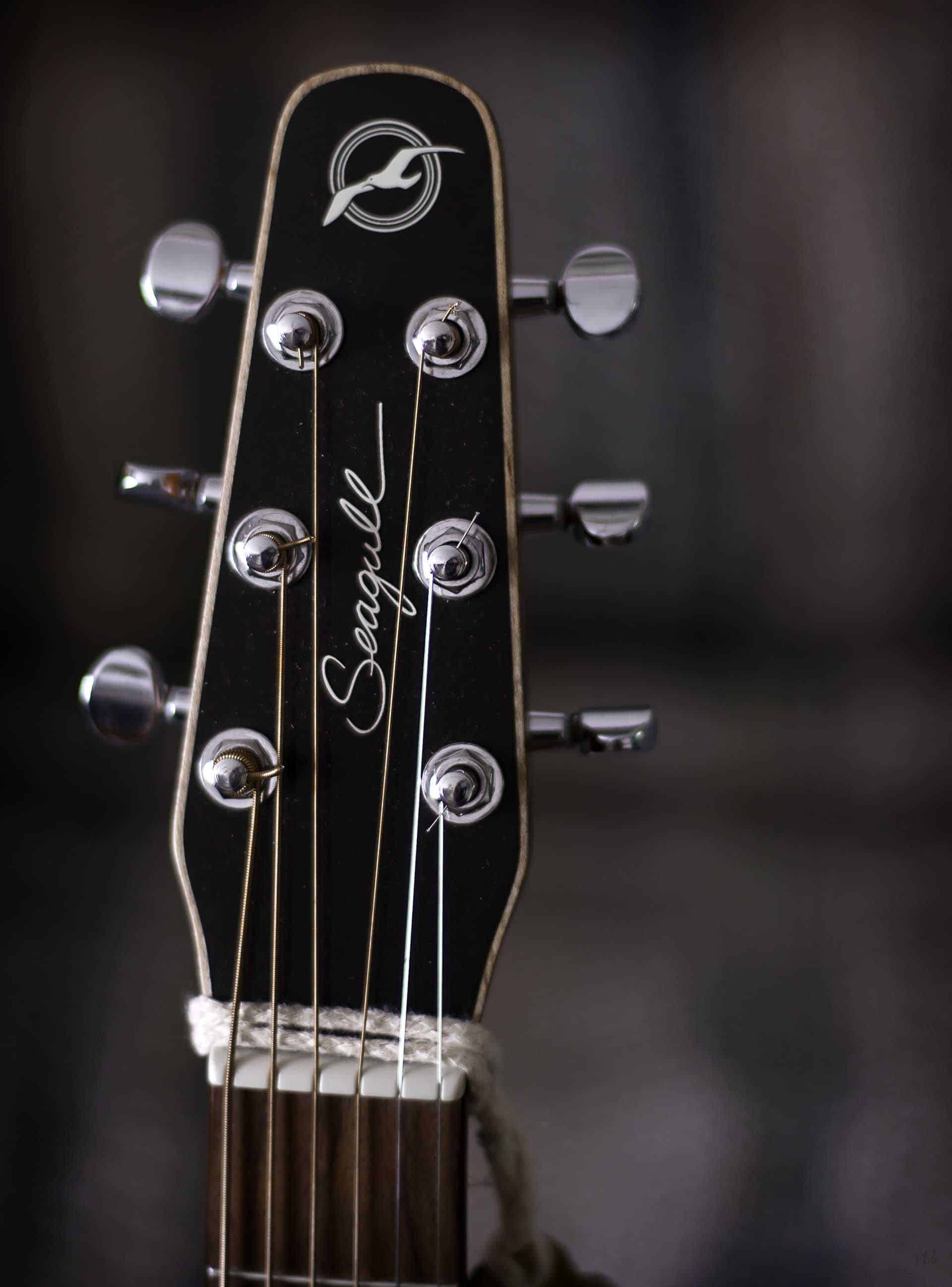 Comparison Simon and Patrick vs Seagull Guitar: Which One? - CMUSE