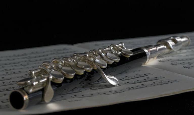 What Is The Lowest Note on the Flute? - CMUSE