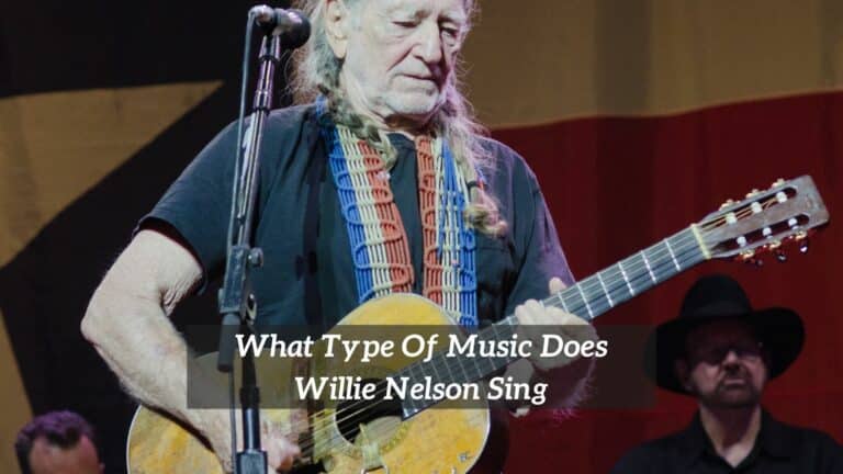 What Type Of Music Does Willie Nelson Sing? - CMUSE