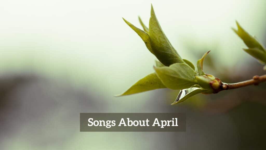 8 Pieces Of Songs About April - CMUSE