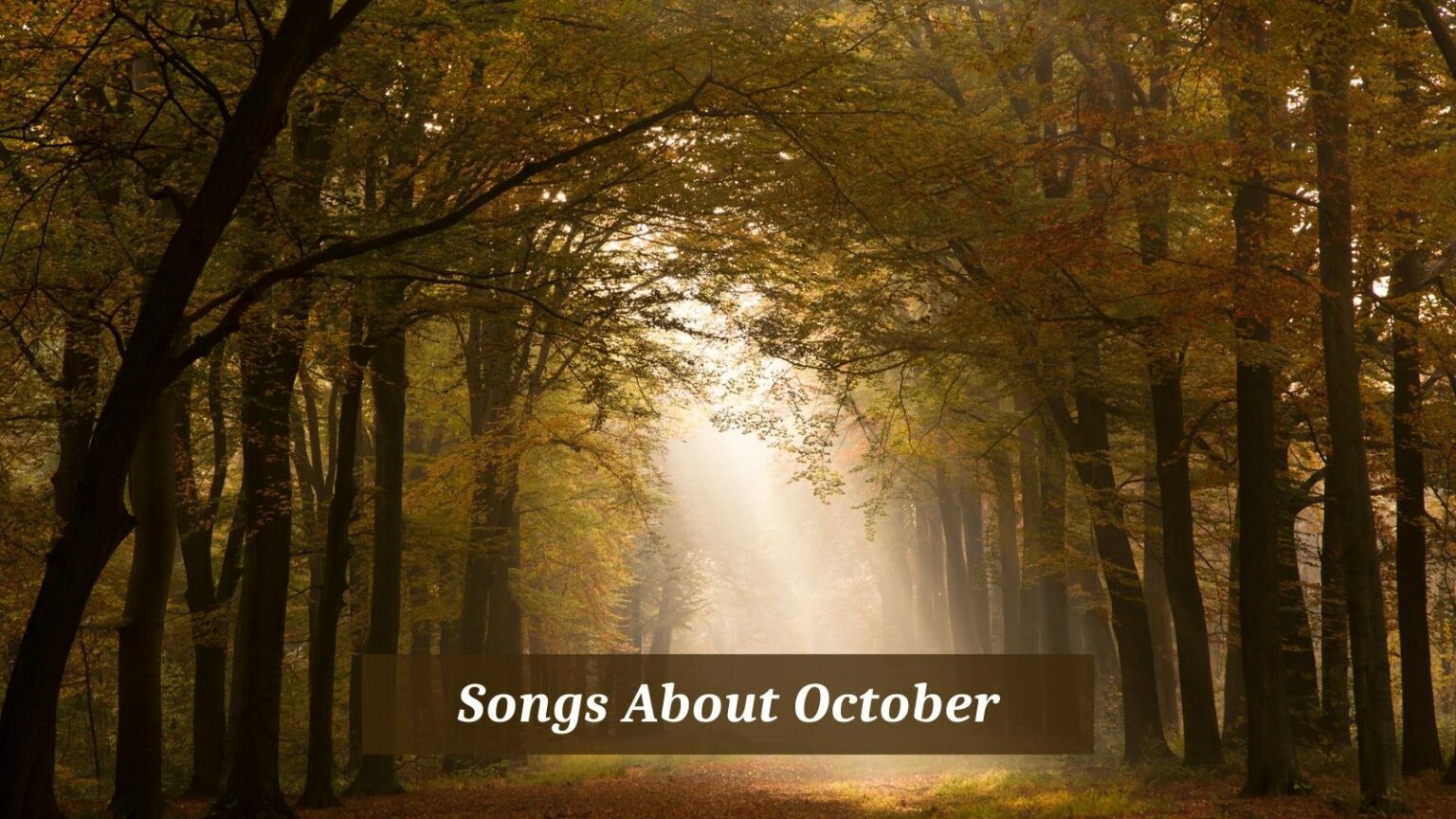 7 Pieces Of Songs About October - CMUSE