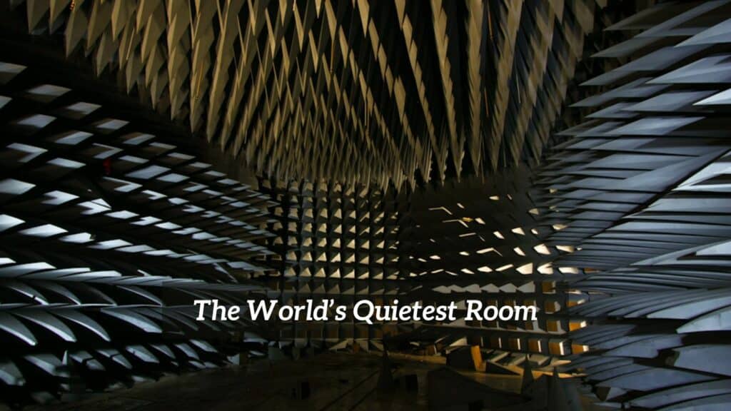 The Quietest Room In The World - CMUSE