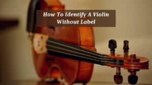 How To Identify A Violin Without Label? - CMUSE