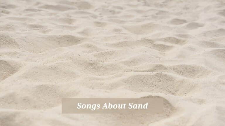 8 Pieces Of Songs About Sand - CMUSE