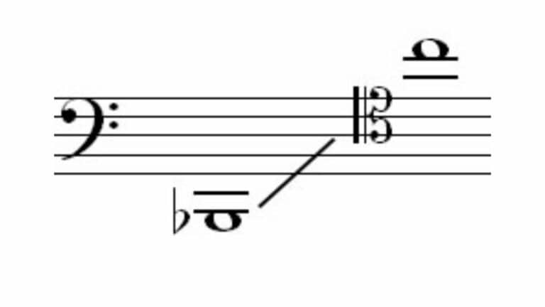 What Is a Bass in Music? - CMUSE