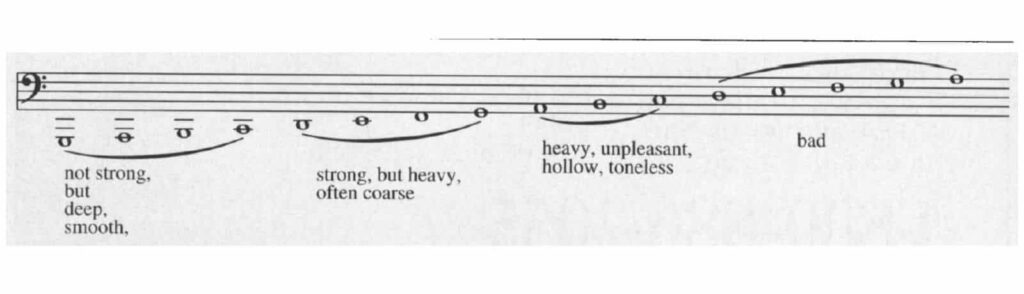 What Is a Bass in Music? - CMUSE