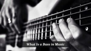 What Is a Bass in Music? - CMUSE